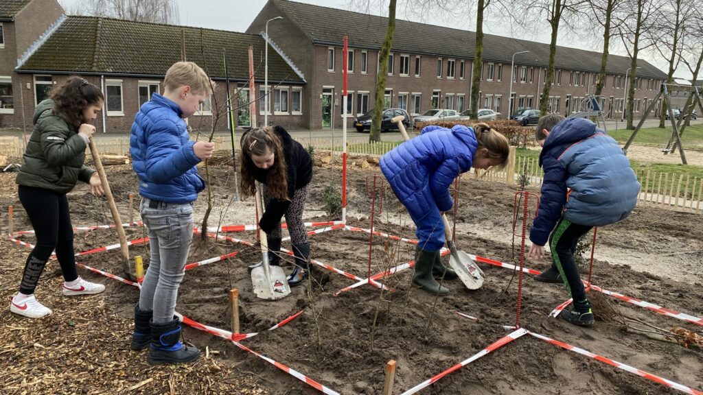 Mini-bos bij sbo Westerwel: leerlingen planten maar liefst 1000 bomen ...